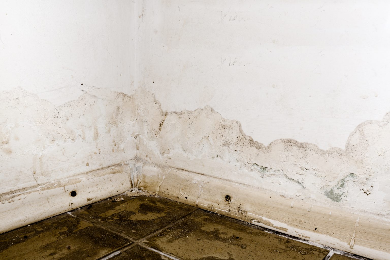 Damp Control & Water Ingress | BCP Damp Proofing Damp Control & Water Ingress | BCP Damp Proofing