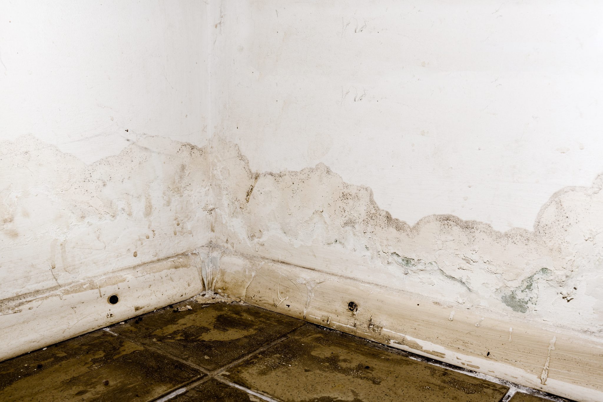Damp Control & Water Ingress | BCP Damp Proofing